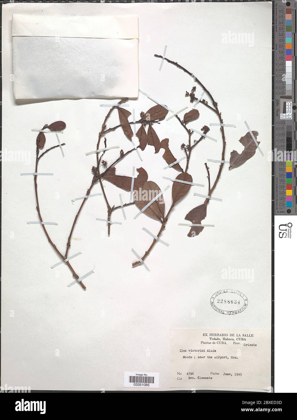 Victorini hi-res stock photography and images - Alamy