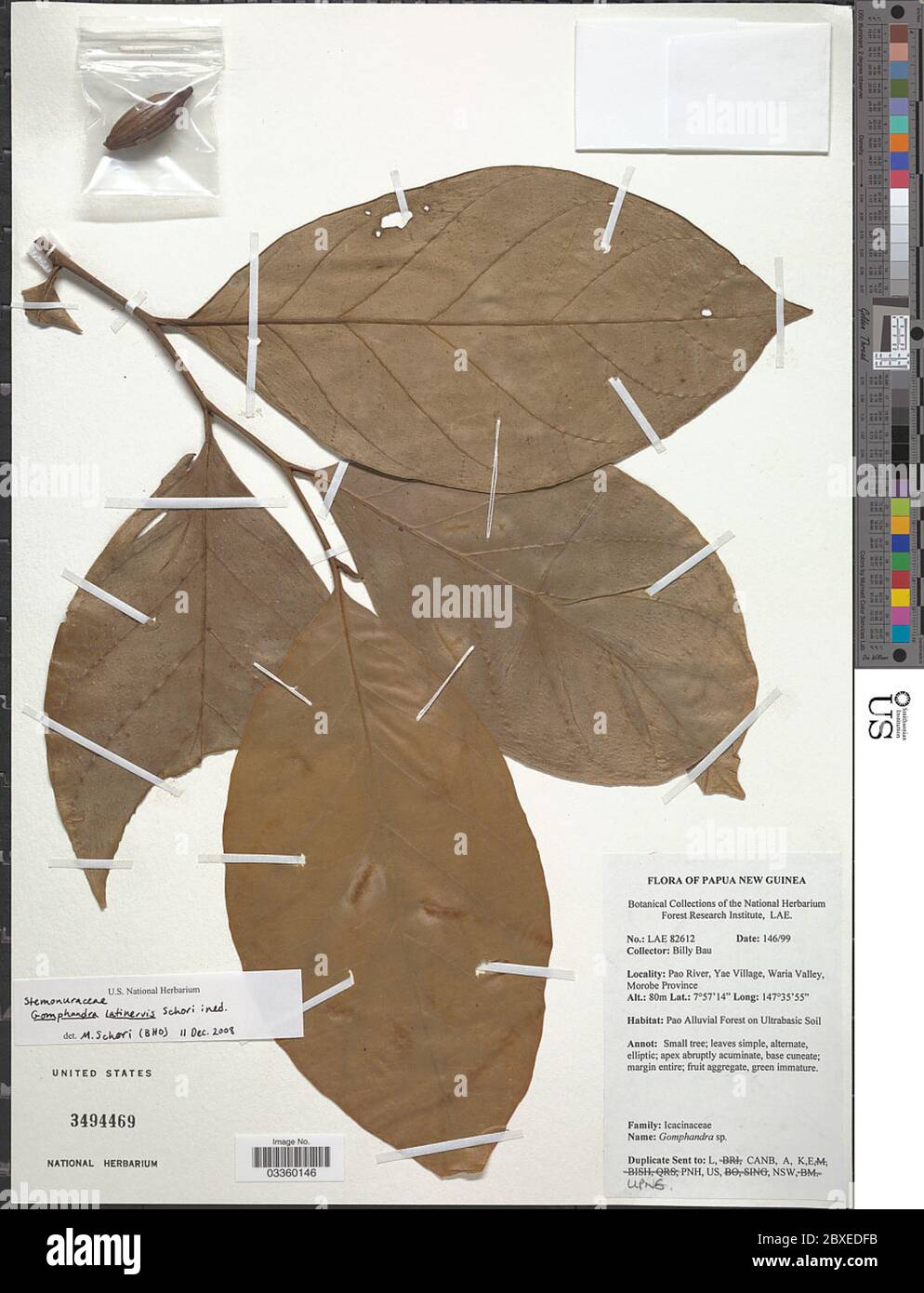 Schori hi-res stock photography and images - Alamy