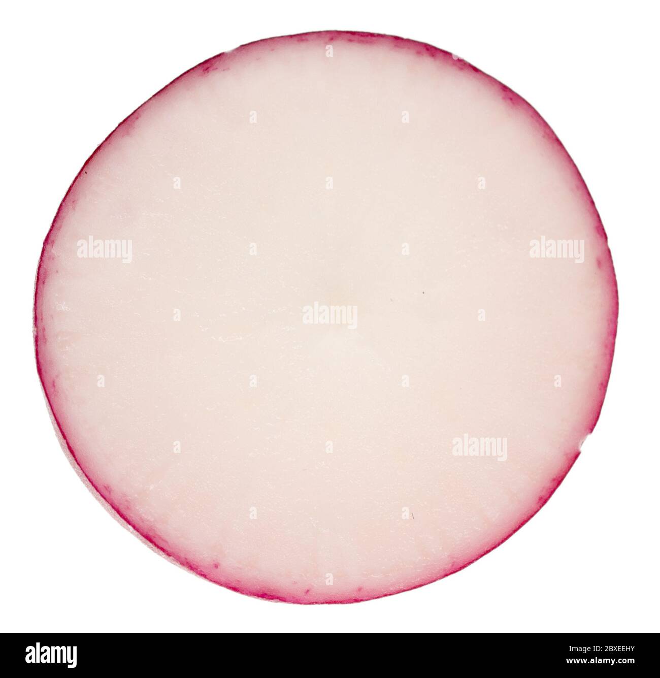 Slice of radish isolated on white background Stock Photo - Alamy