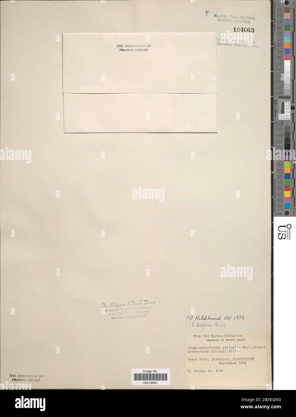 Autotrophic algae hi-res stock photography and images - Alamy