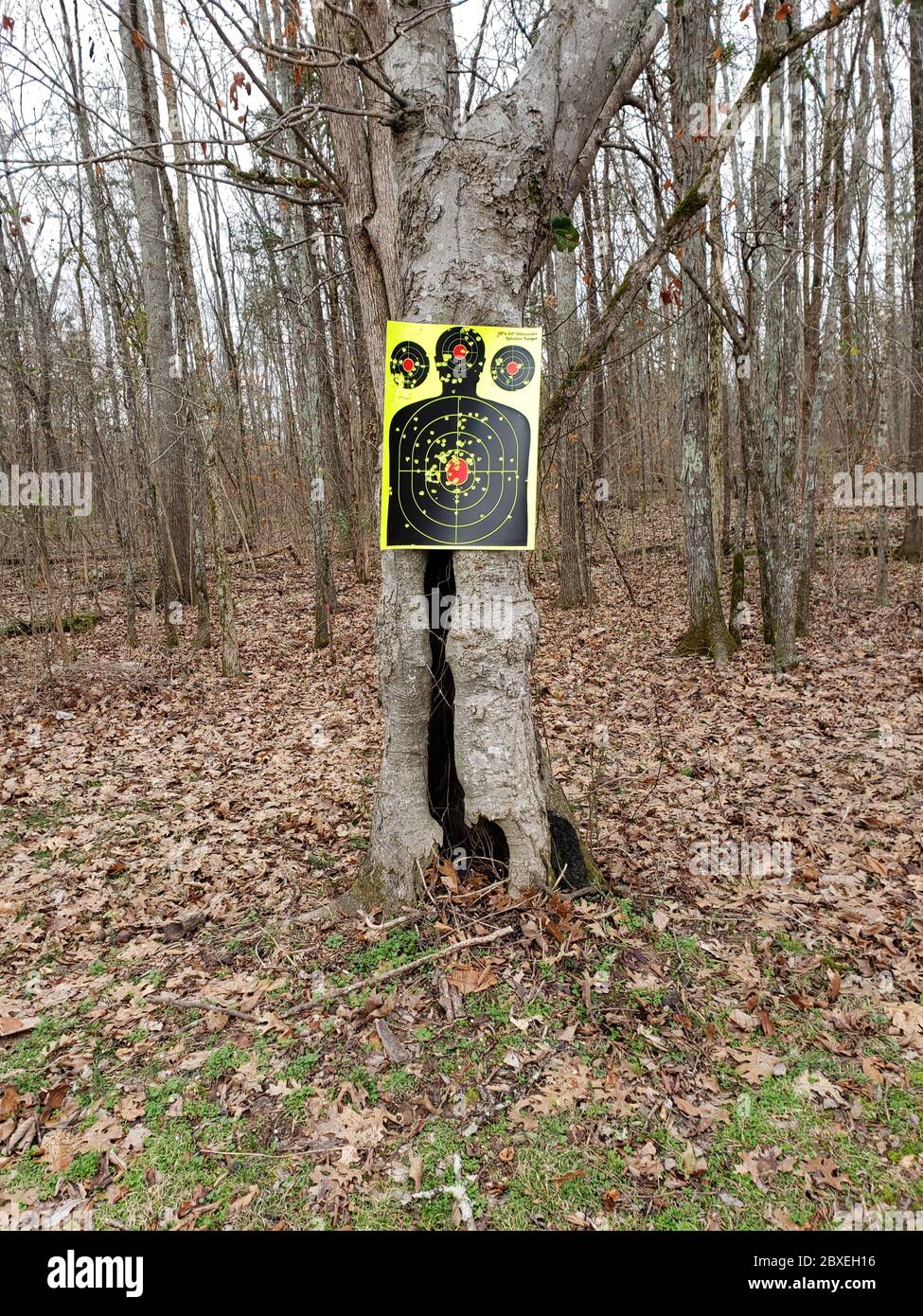 Splatter target hi-res stock photography and images - Alamy