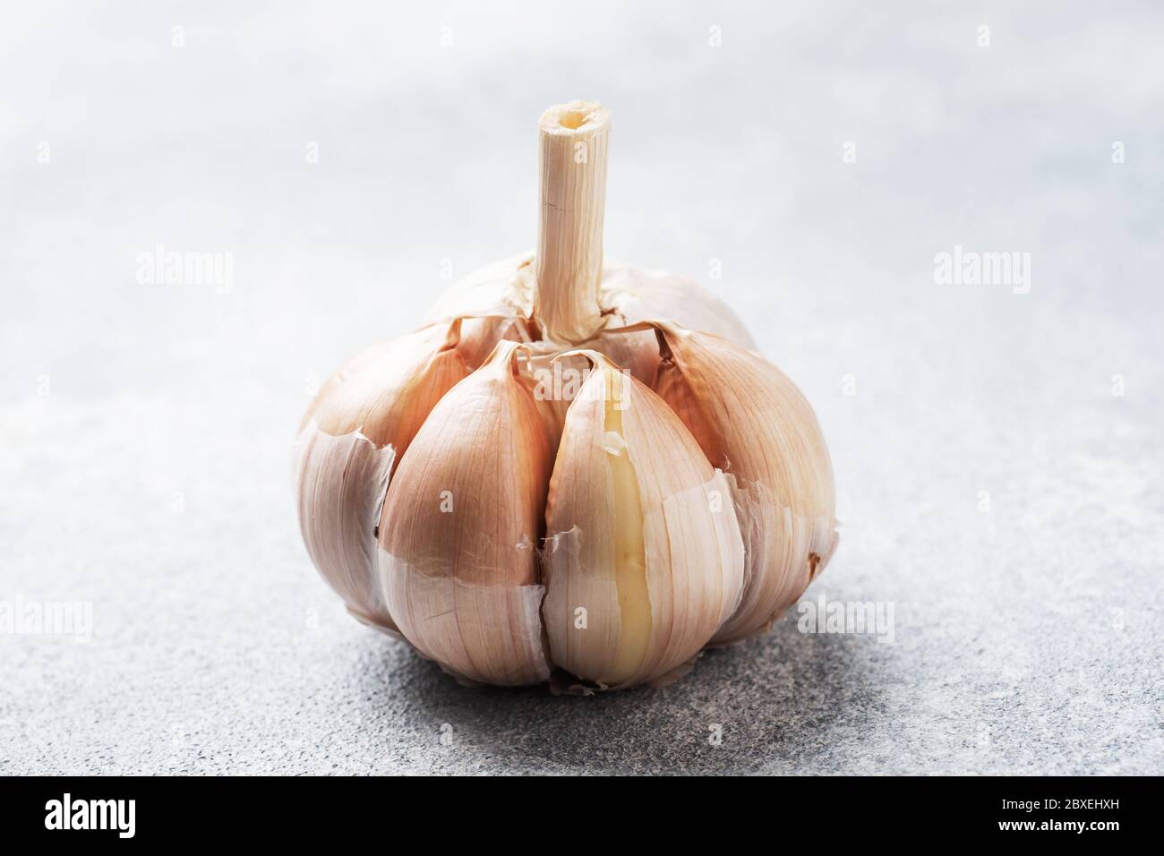Whole garlic heads on a concrete grey background Stock Photo - Alamy