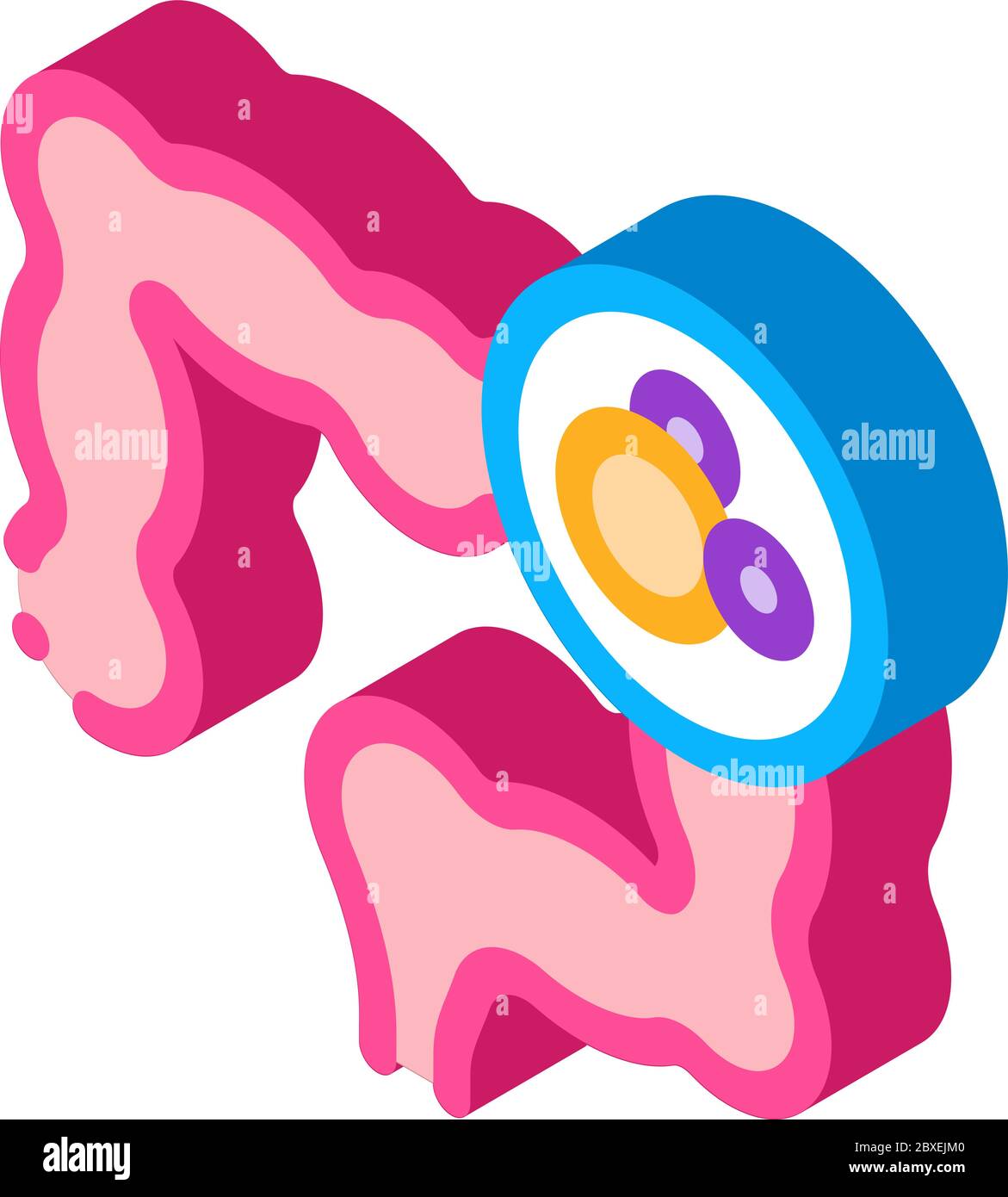 Gut brain anatomy Stock Vector Images - Alamy