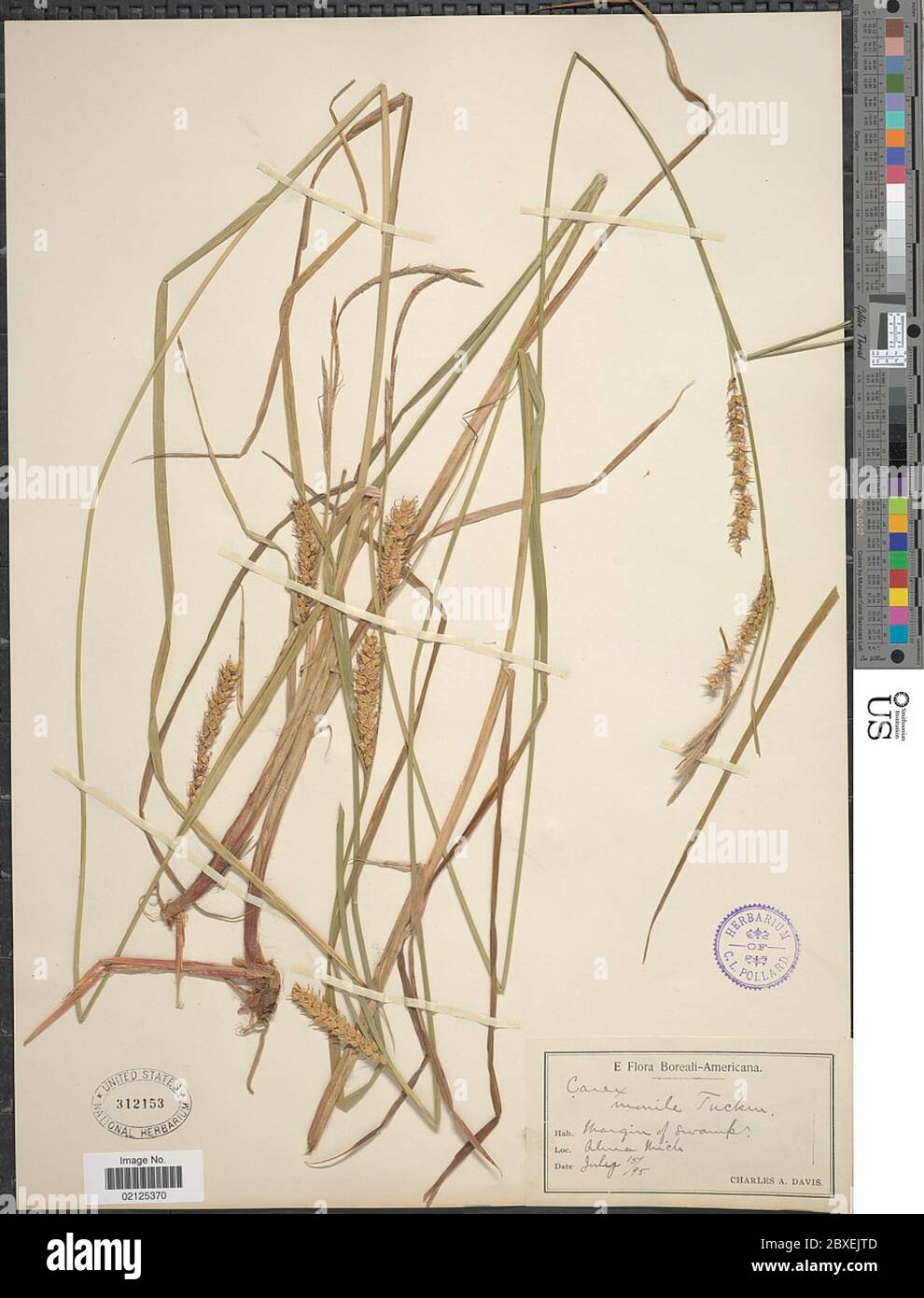 Monile hi-res stock photography and images - Alamy