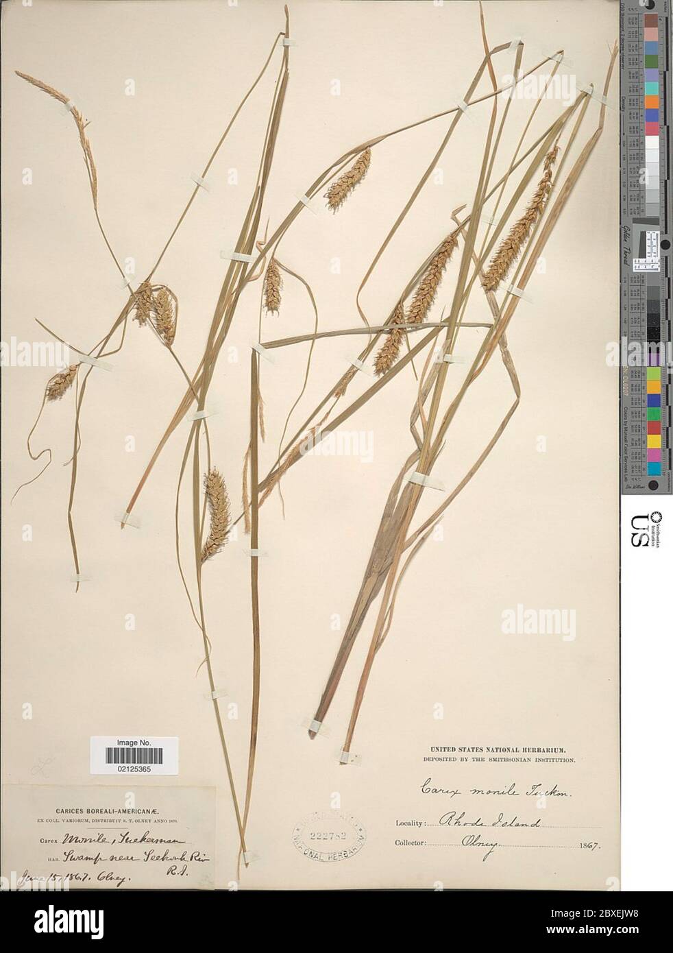 Monile hi-res stock photography and images - Alamy