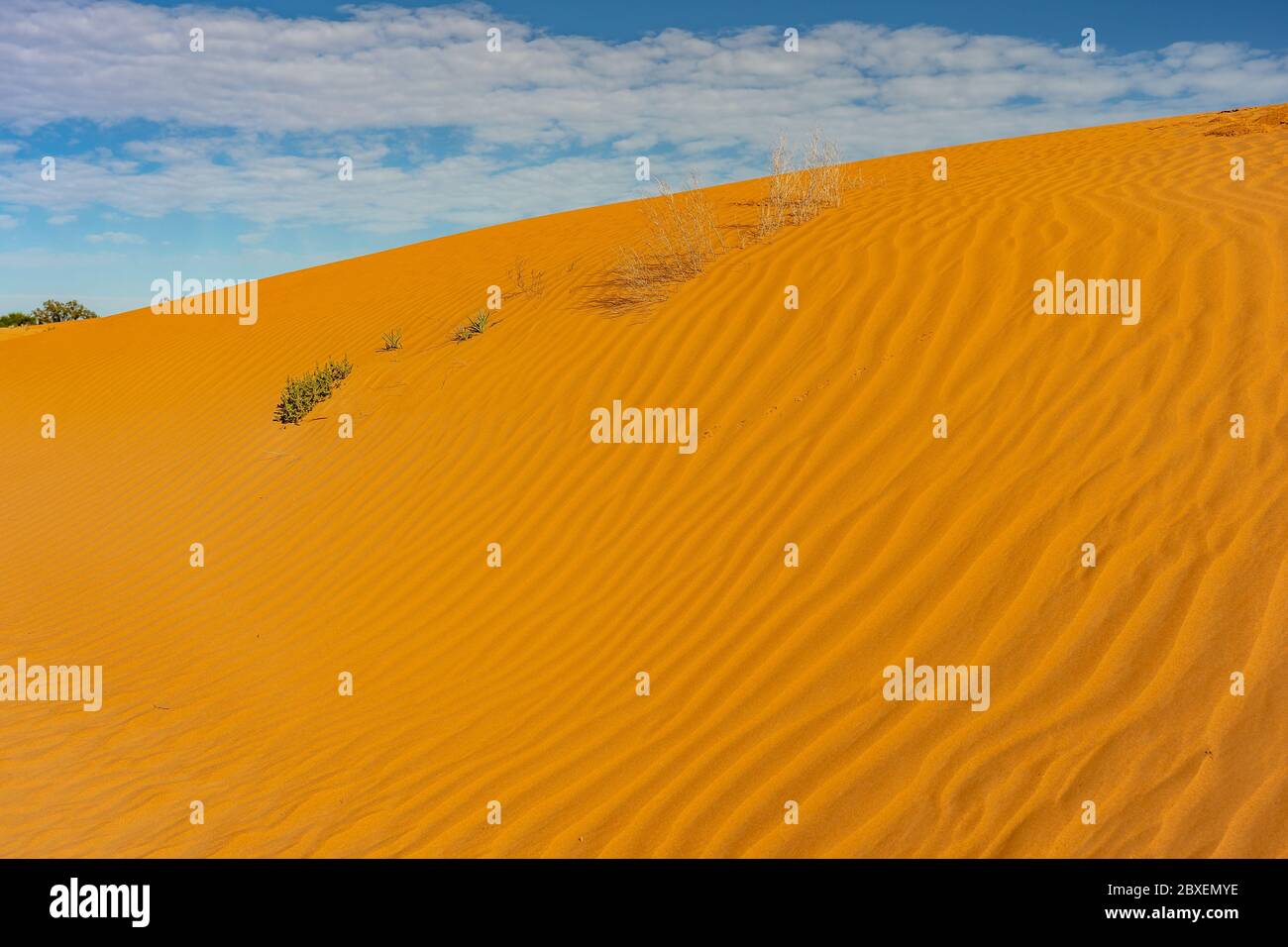 Perry Sandhills dunes in NSW, Australia Stock Photo - Alamy