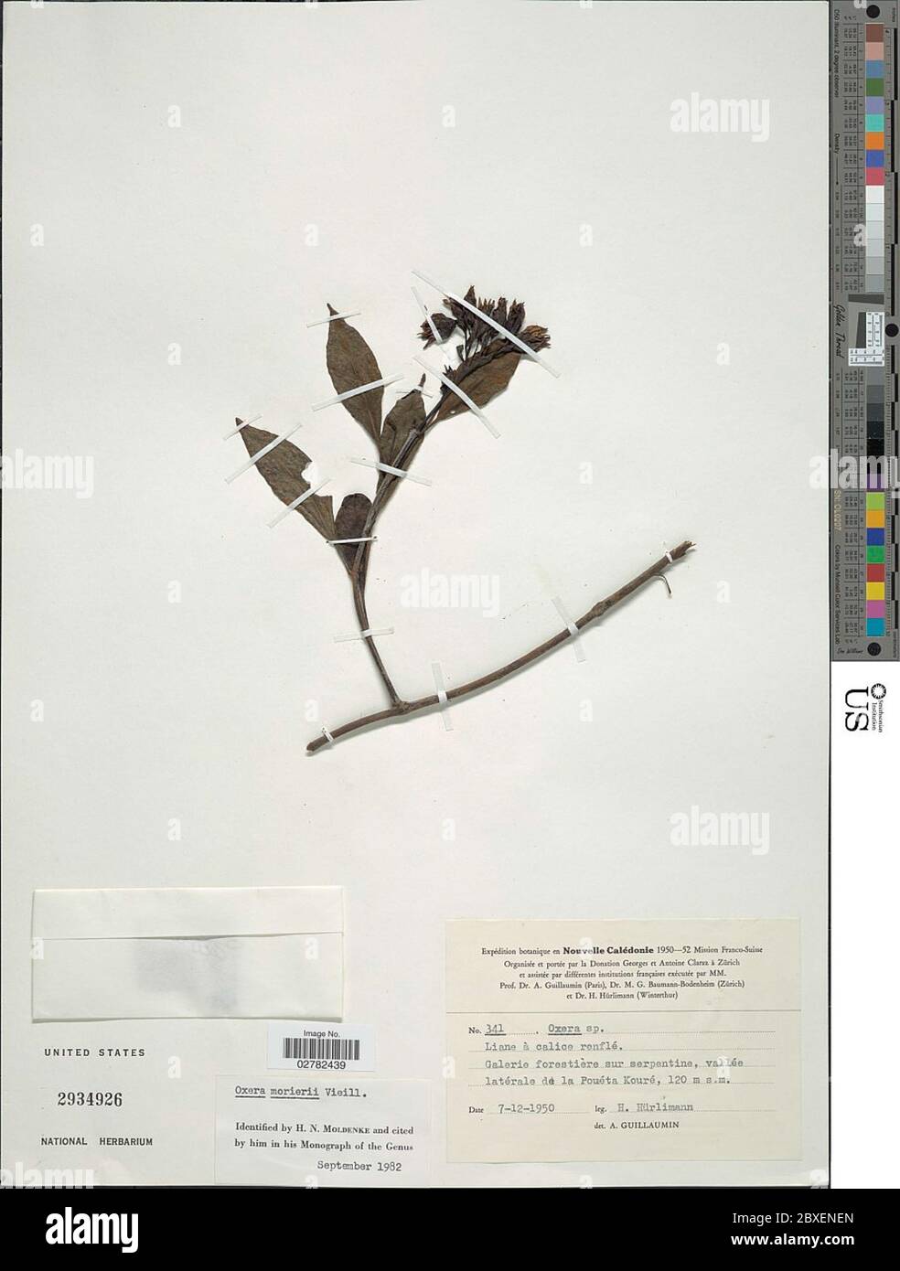 Vieill hi-res stock photography and images - Alamy