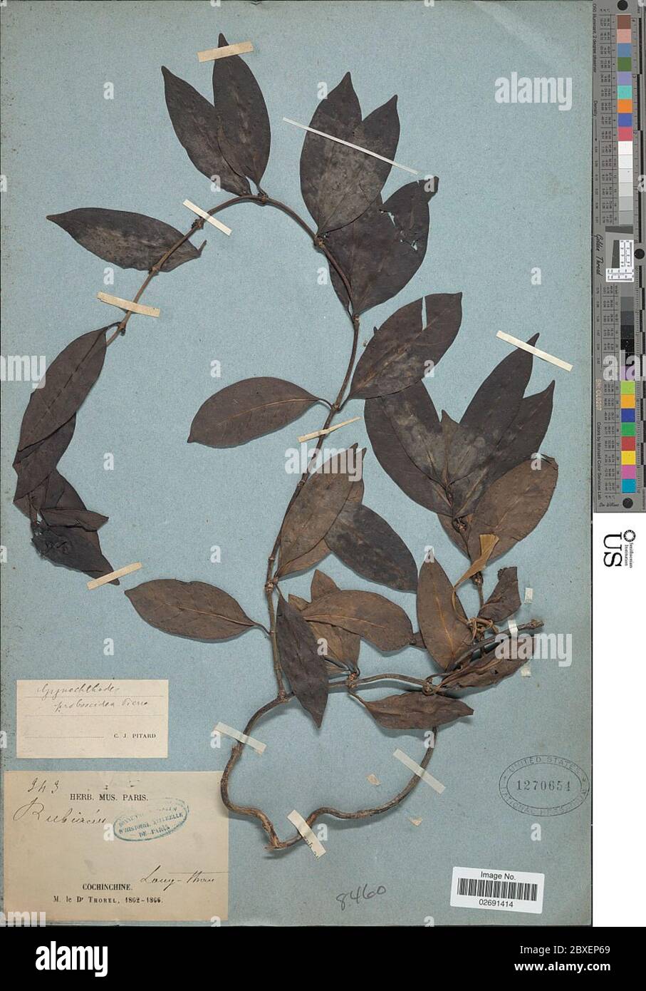 Ex pit hi-res stock photography and images - Alamy