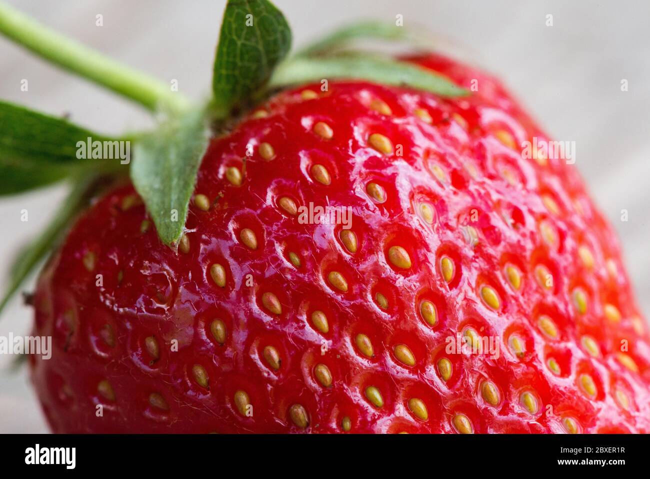 Strawberry seeds up close hi-res stock photography and images - Alamy