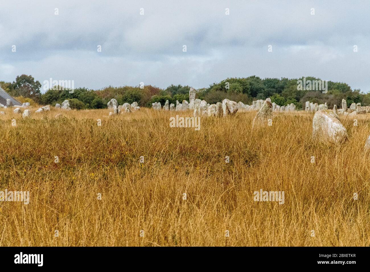 Alignments of Carnac, Menhir de Carnac in the Brittany region. France ...