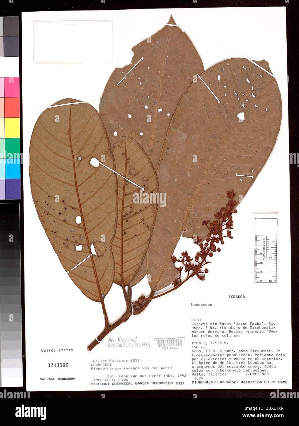 Van der werff hi-res stock photography and images - Alamy