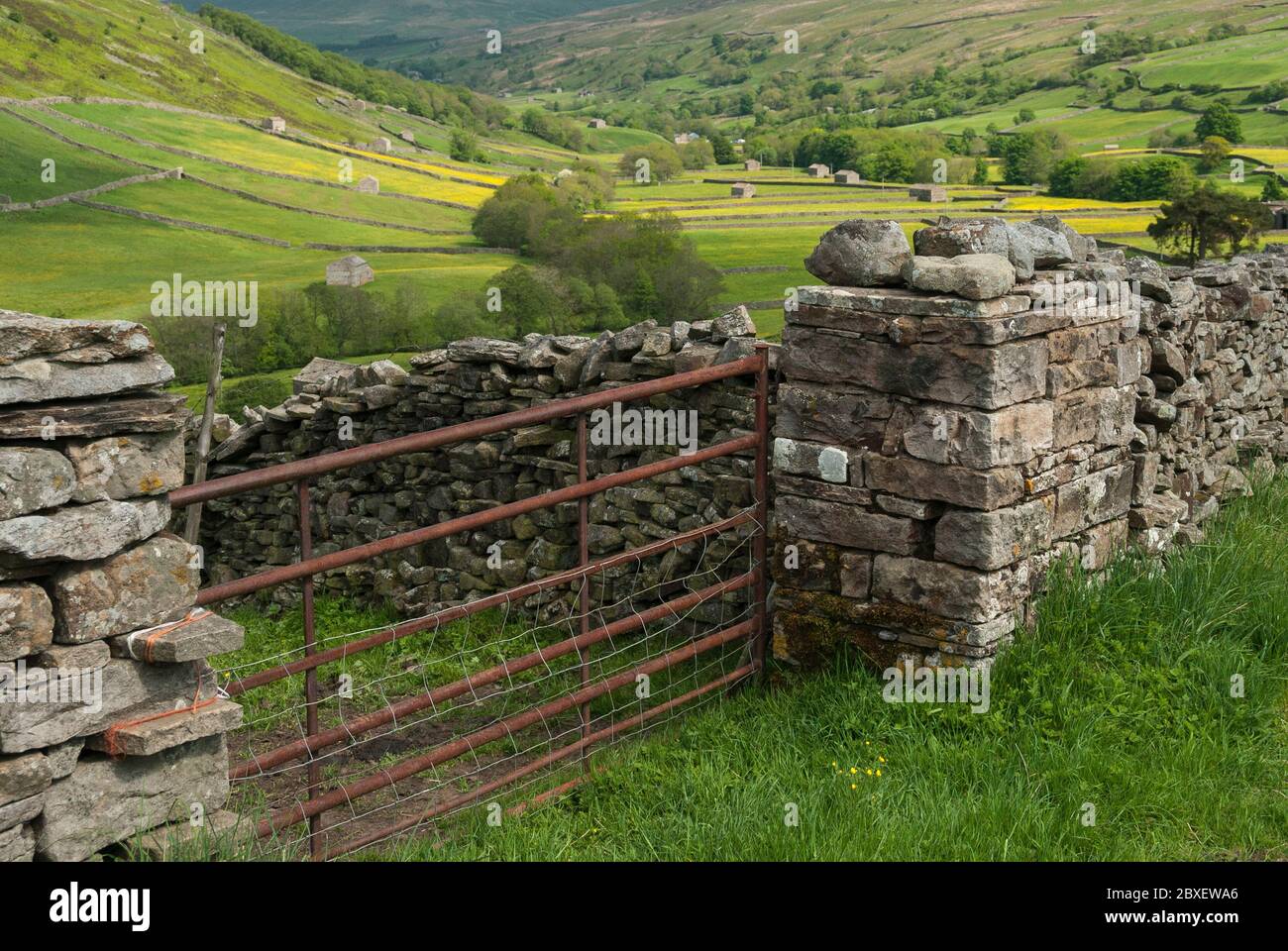 Rusty gate and dry stone wall in West Stonesdale, North Yorkshire ...