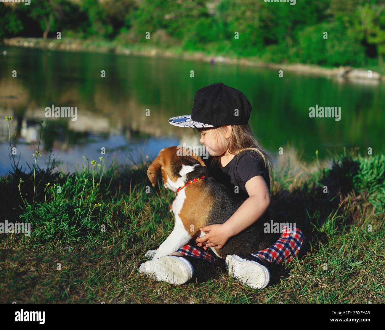 little girl hugs a cute beagle puppy Stock Photo - Alamy