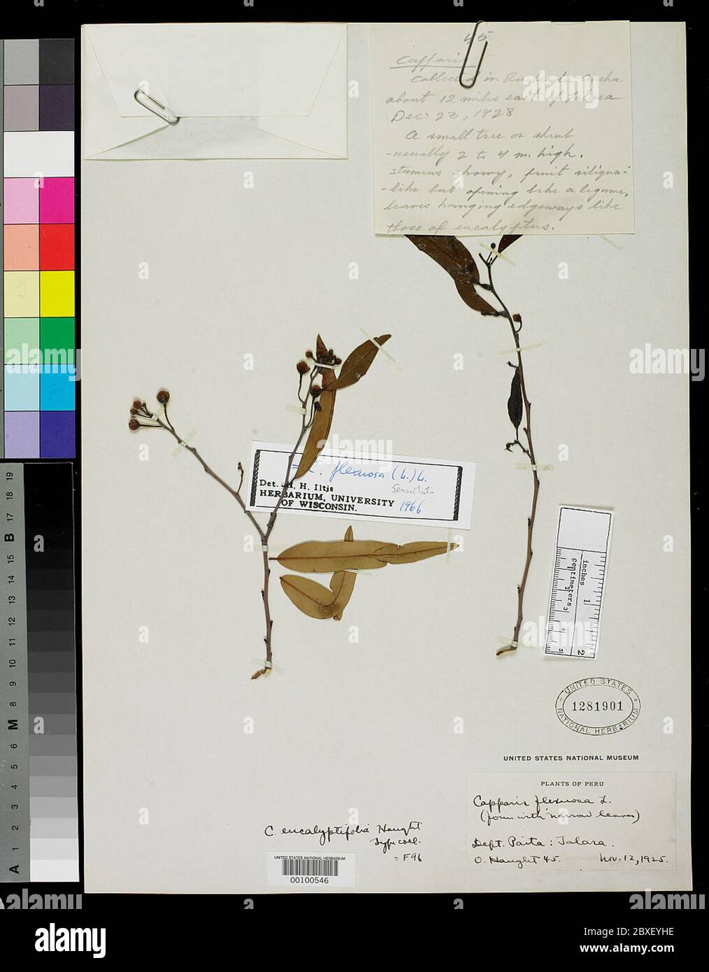 Haught hi-res stock photography and images - Alamy