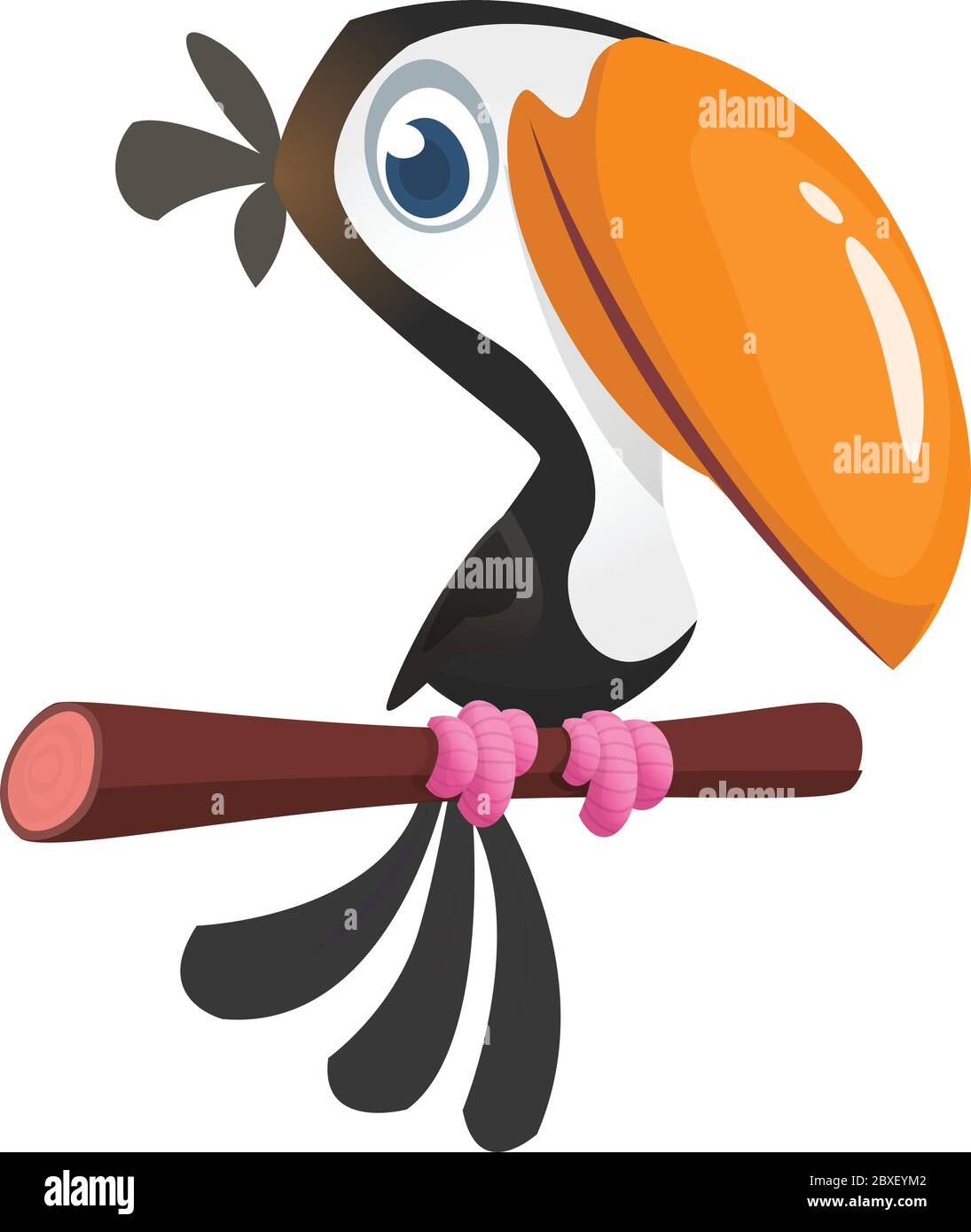 Funny toucan cartoon. Vector toucan bird sitting on the branch ...