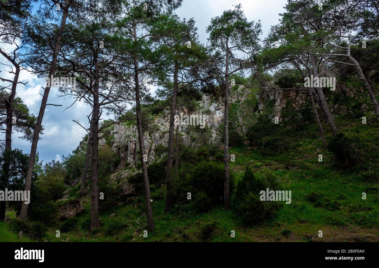 Troodos national forest park cyprus hi-res stock photography and images ...