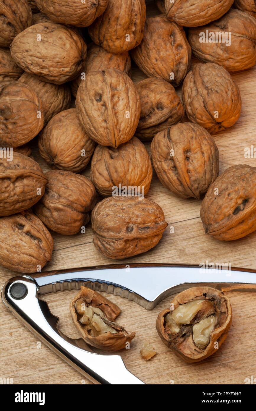 Wrinkled seed hi-res stock photography and images - Alamy