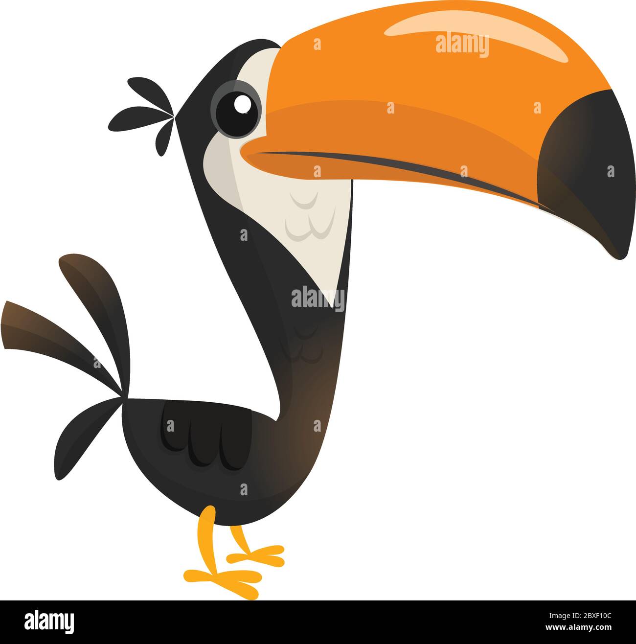 Toucan bird cartoon. Vector illustration of happy tukan isolated Stock ...