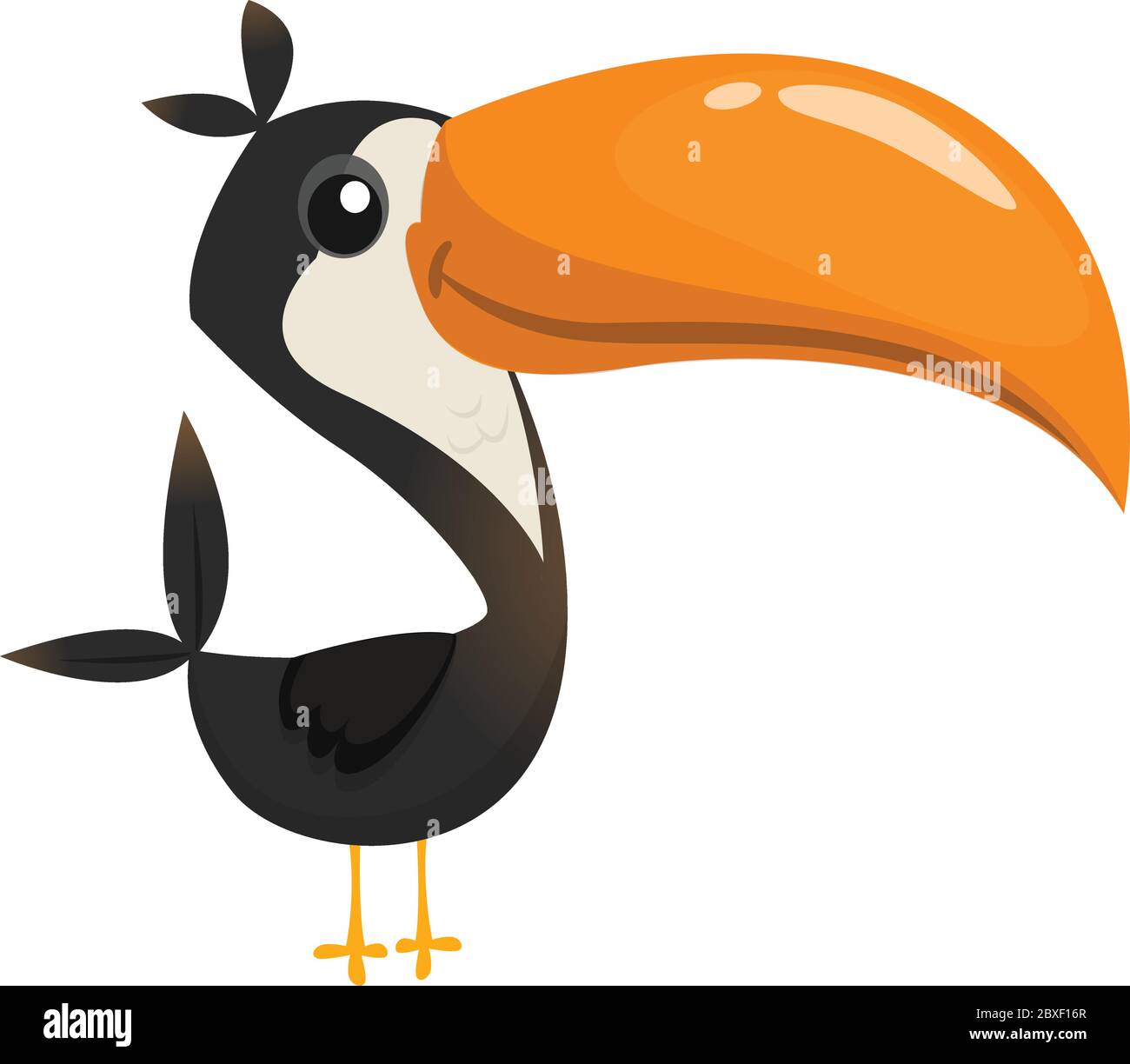Toucan bird cartoon. Vector illustration of happy tukan isolated Stock ...