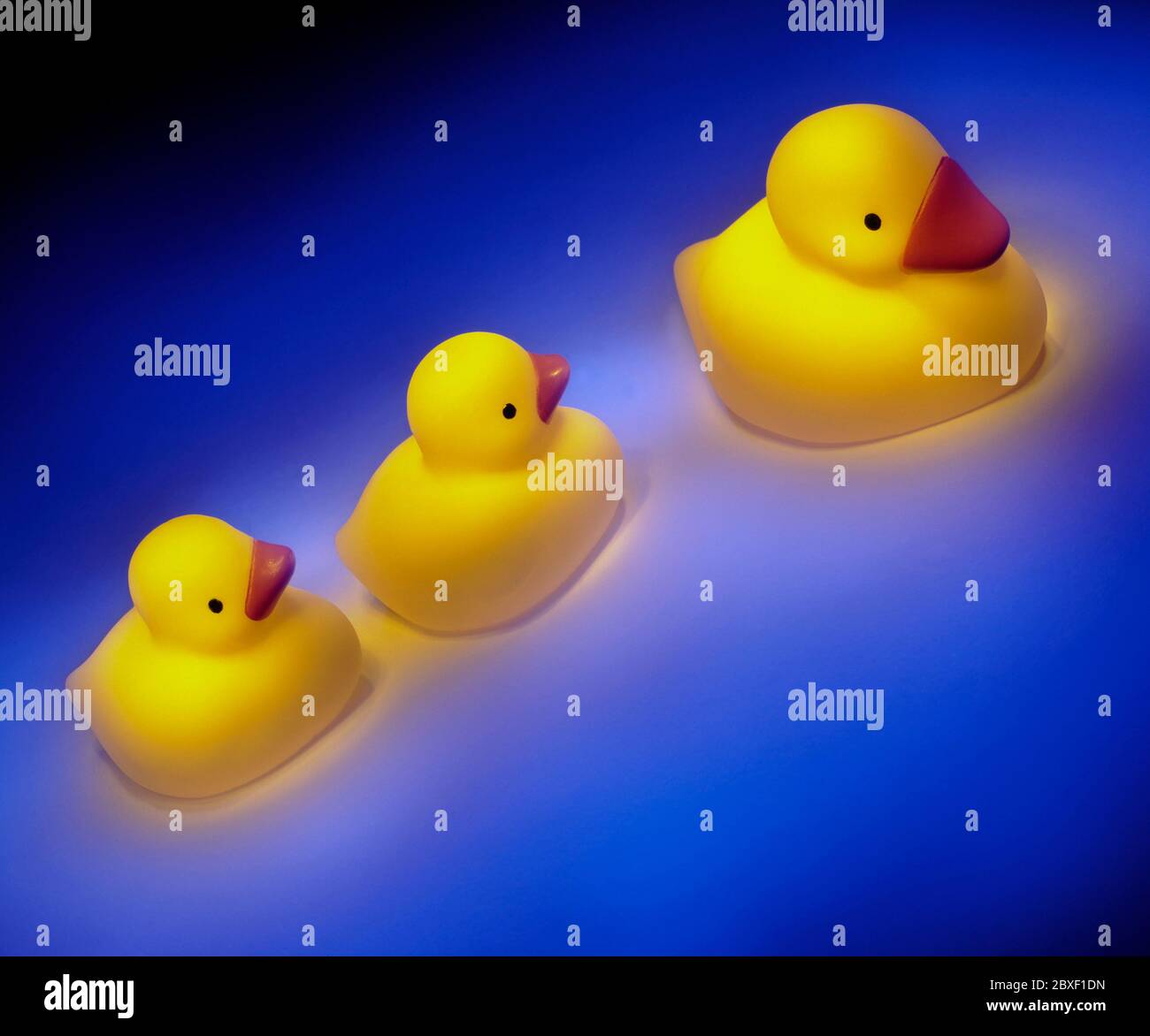 Three rubber ducks in a row Stock Photo - Alamy