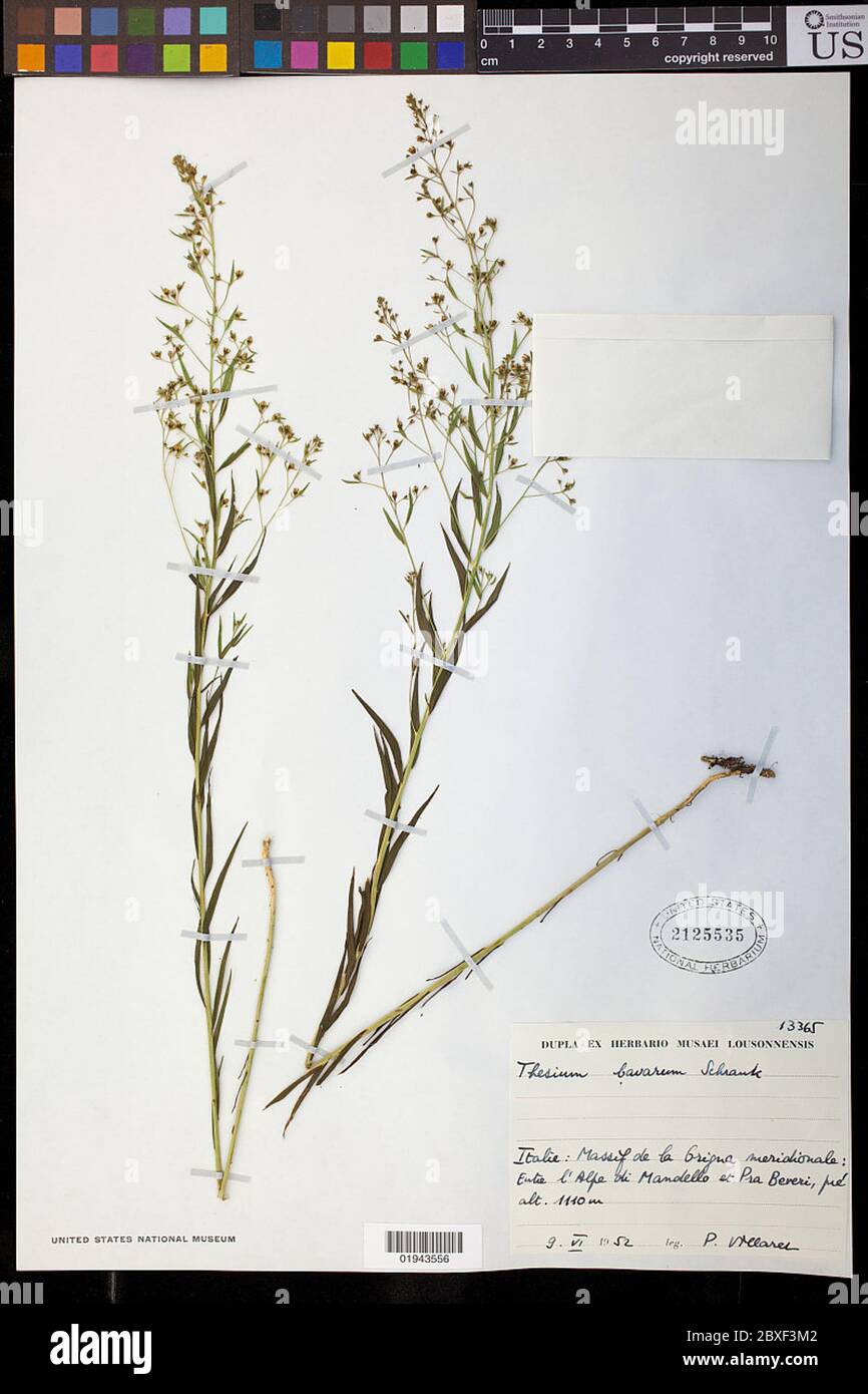 Bavarium hi-res stock photography and images - Alamy