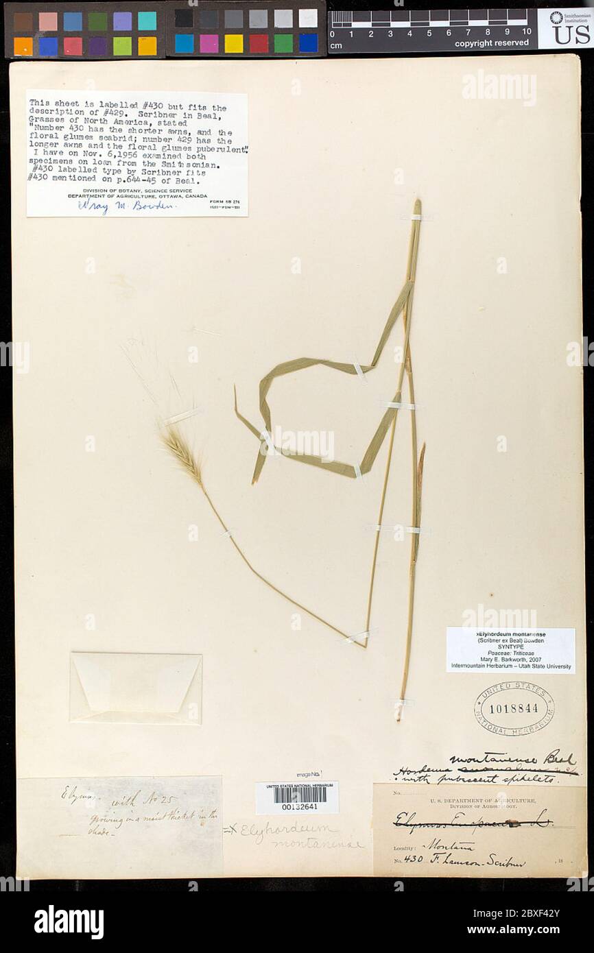 Scribn hi-res stock photography and images - Alamy