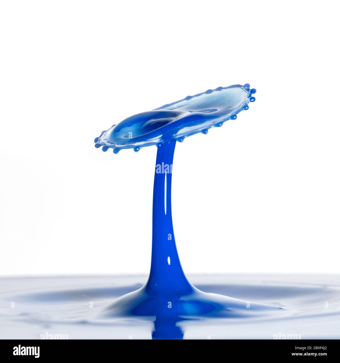 Stunning unique abstract water splash photography images with vibrant ...