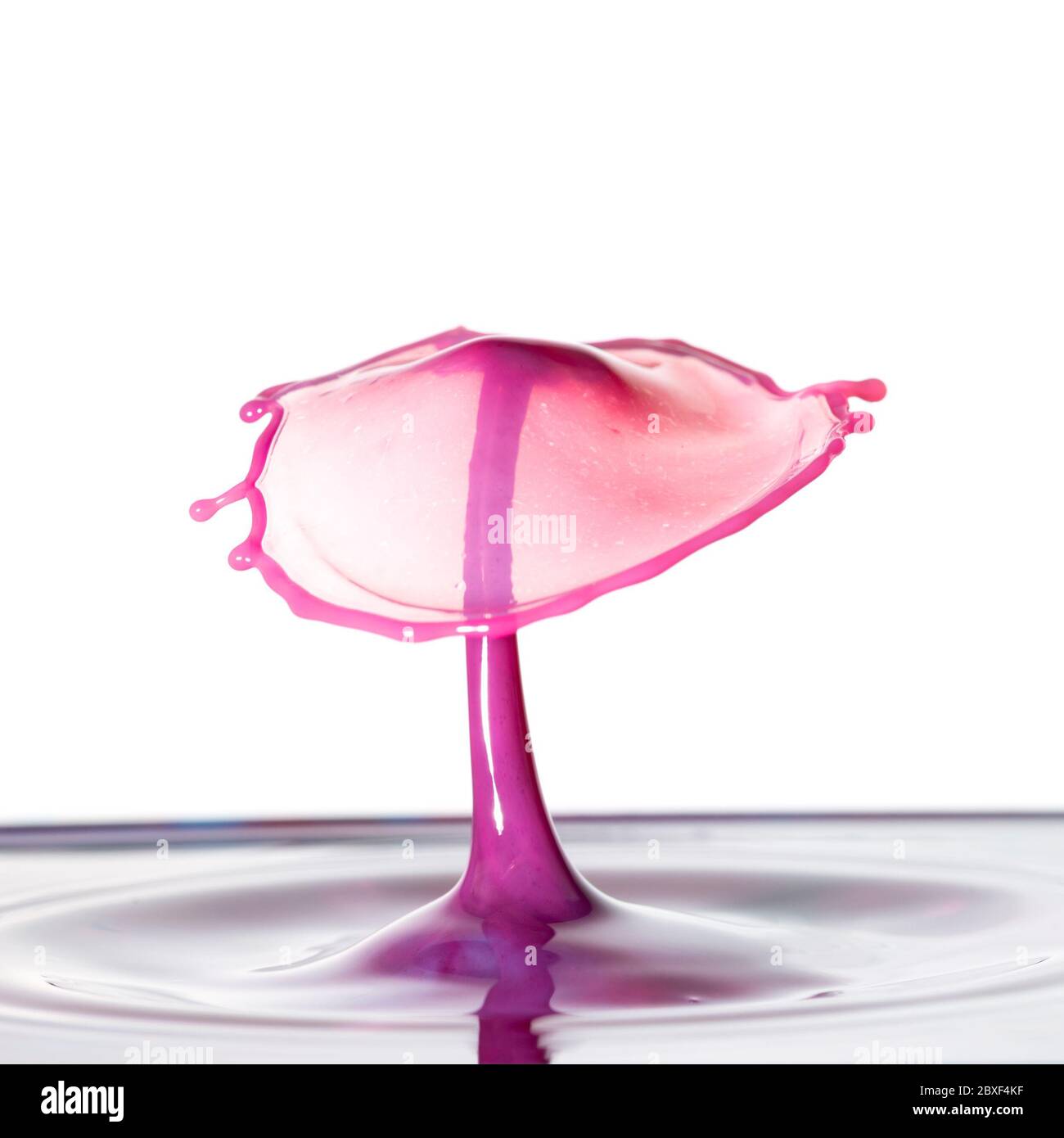 Stunning unique abstract water splash photography images with vibrant ...