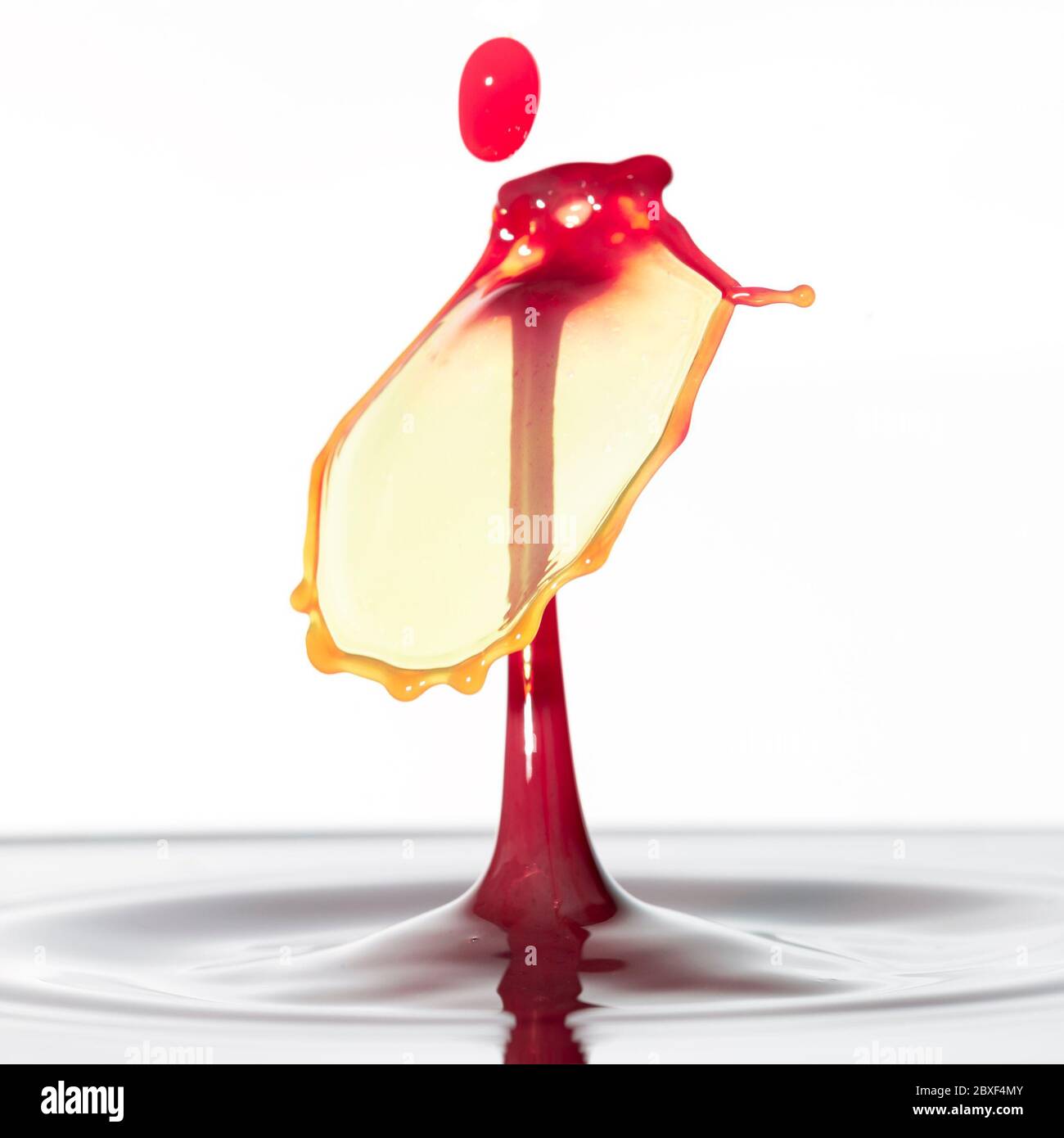 Stunning unique abstract water splash photography images with vibrant ...