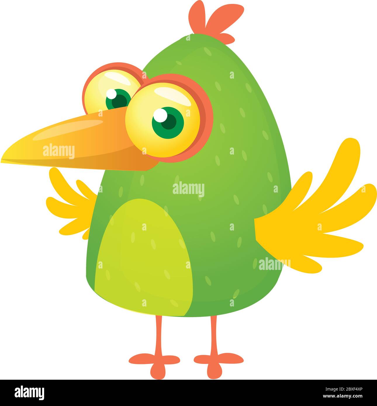 Cartoon Funny Bird Pictures