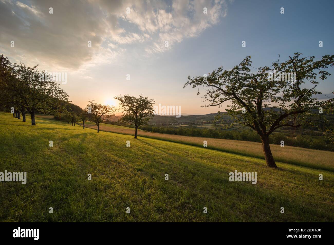 Landscape in the evening with sunset in Europe Stock Photo - Alamy