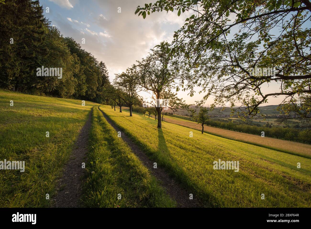 Landscape in the evening with sunset in Europe Stock Photo - Alamy