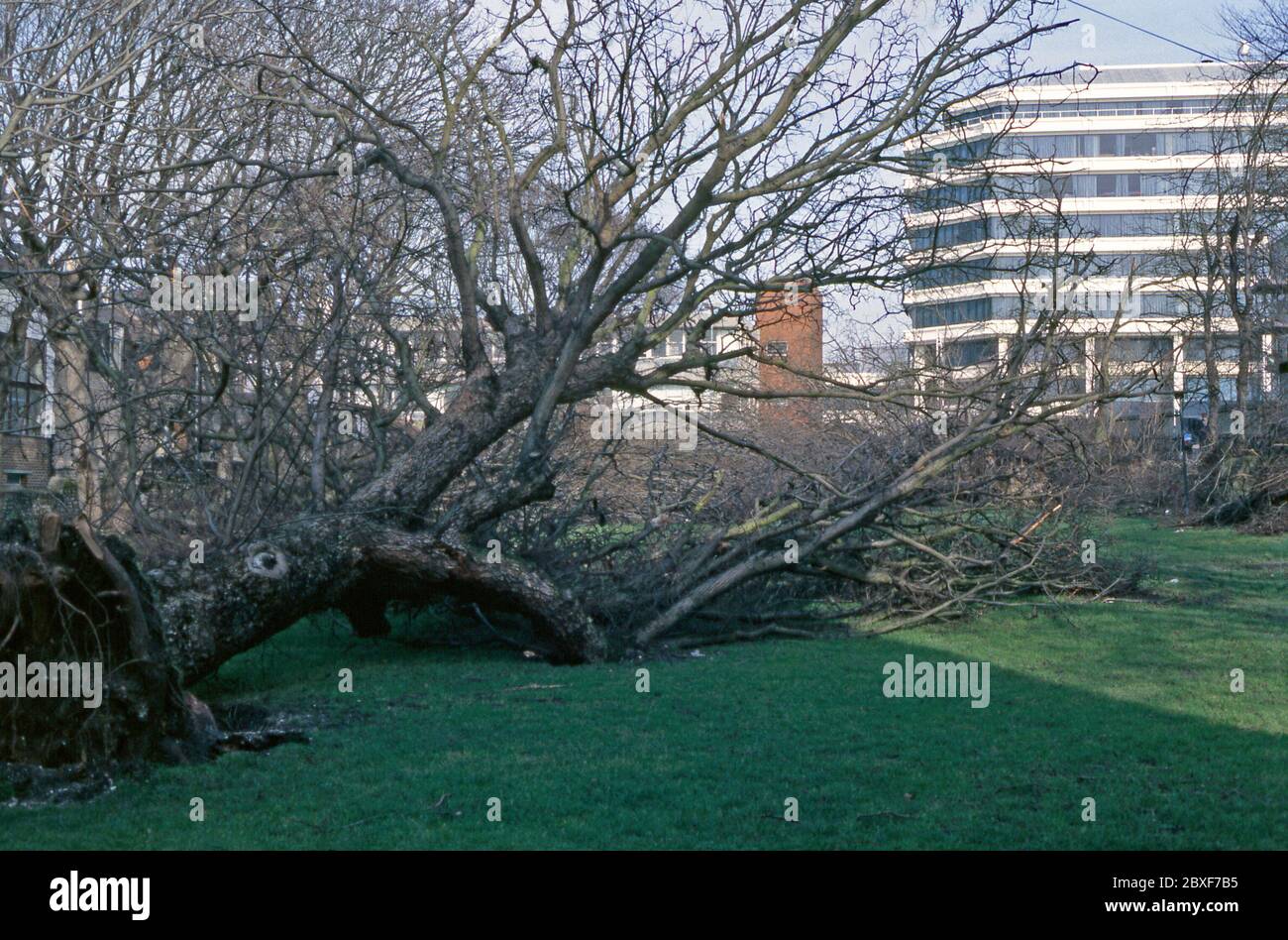 Great storm of 15 16 october 1987 hi-res stock photography and images ...