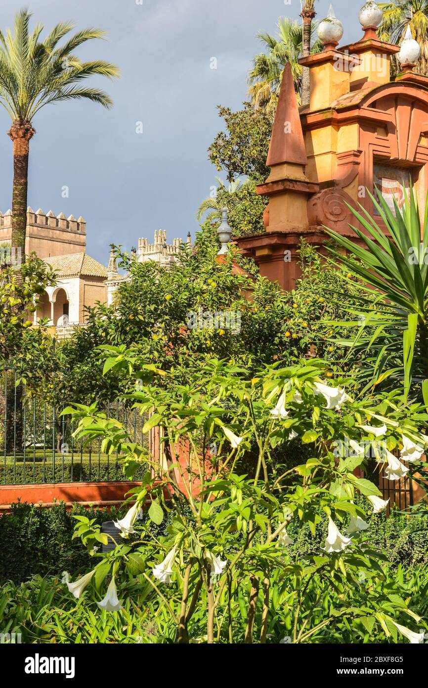 The Alcazar of Seville. Palace complex in Seville, Spanish Andalusia ...
