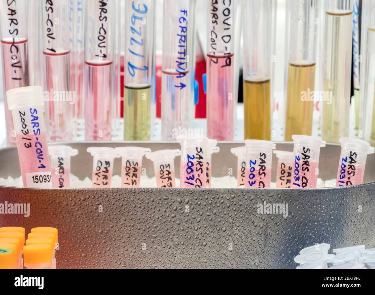 Vials with samples of SARS-COV-1 prepared cold in a laboratory ...