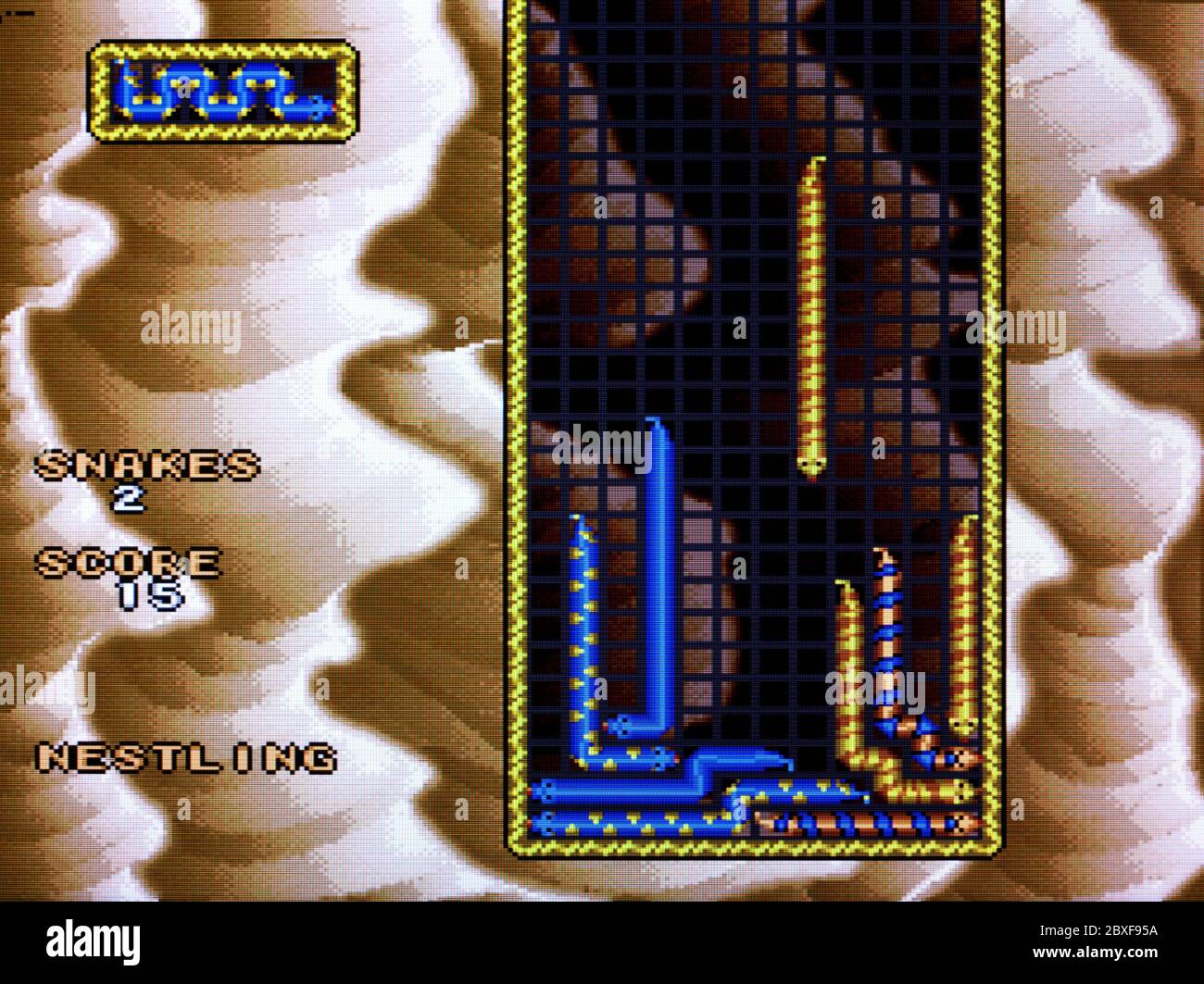 Feed The Snake Computer Game