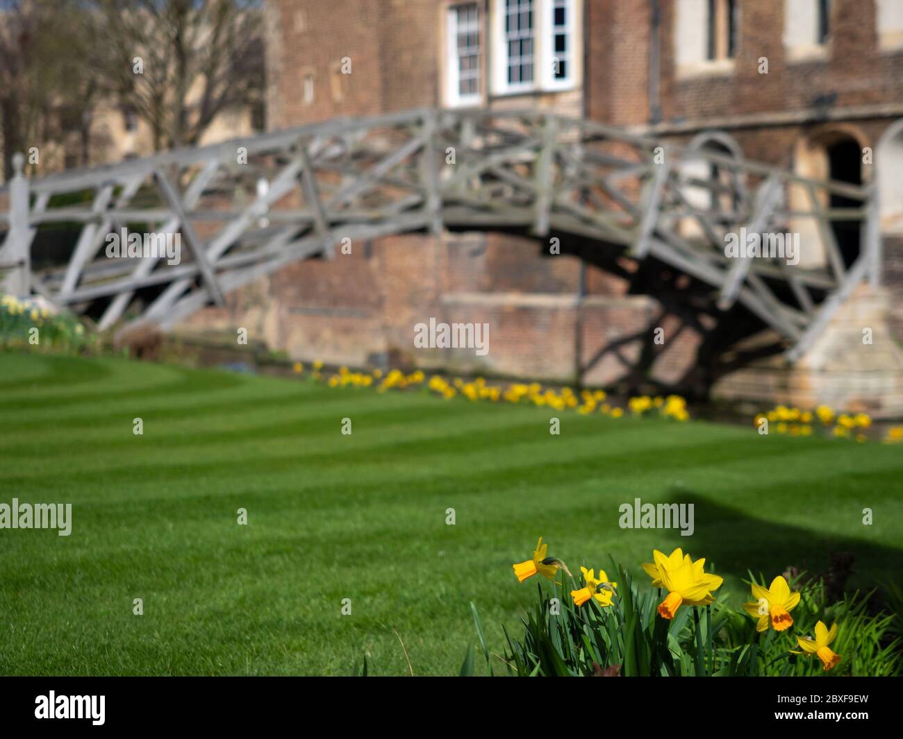 Mathmeticians hi-res stock photography and images - Alamy