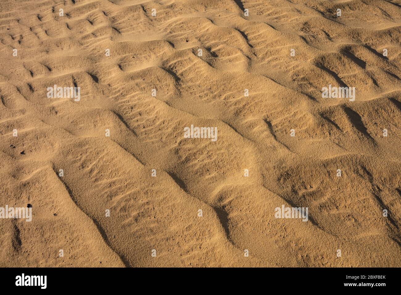 Sand dune patterns in the late afternoon light in Nambung national park ...