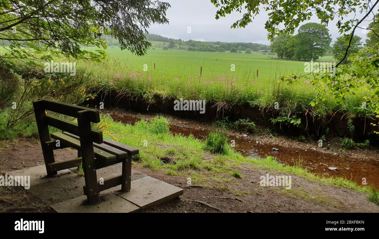 Bench by stream Stock Photo - Alamy