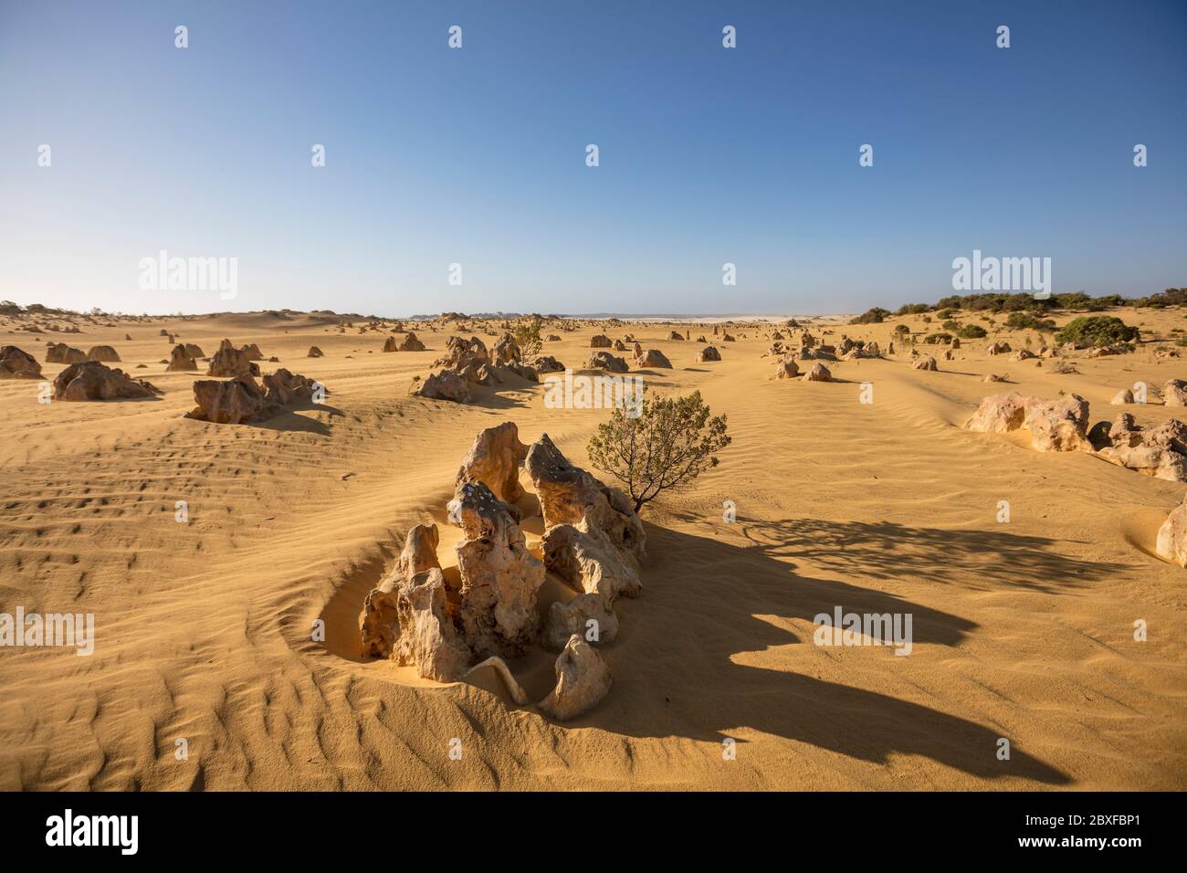 Limestone rock formations known as the Pinnacles in the Nambung ...