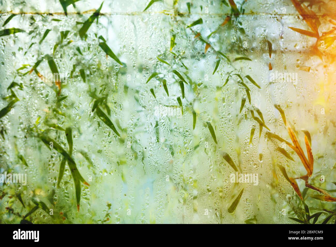 Abstract water drops on window glass Stock Photo - Alamy