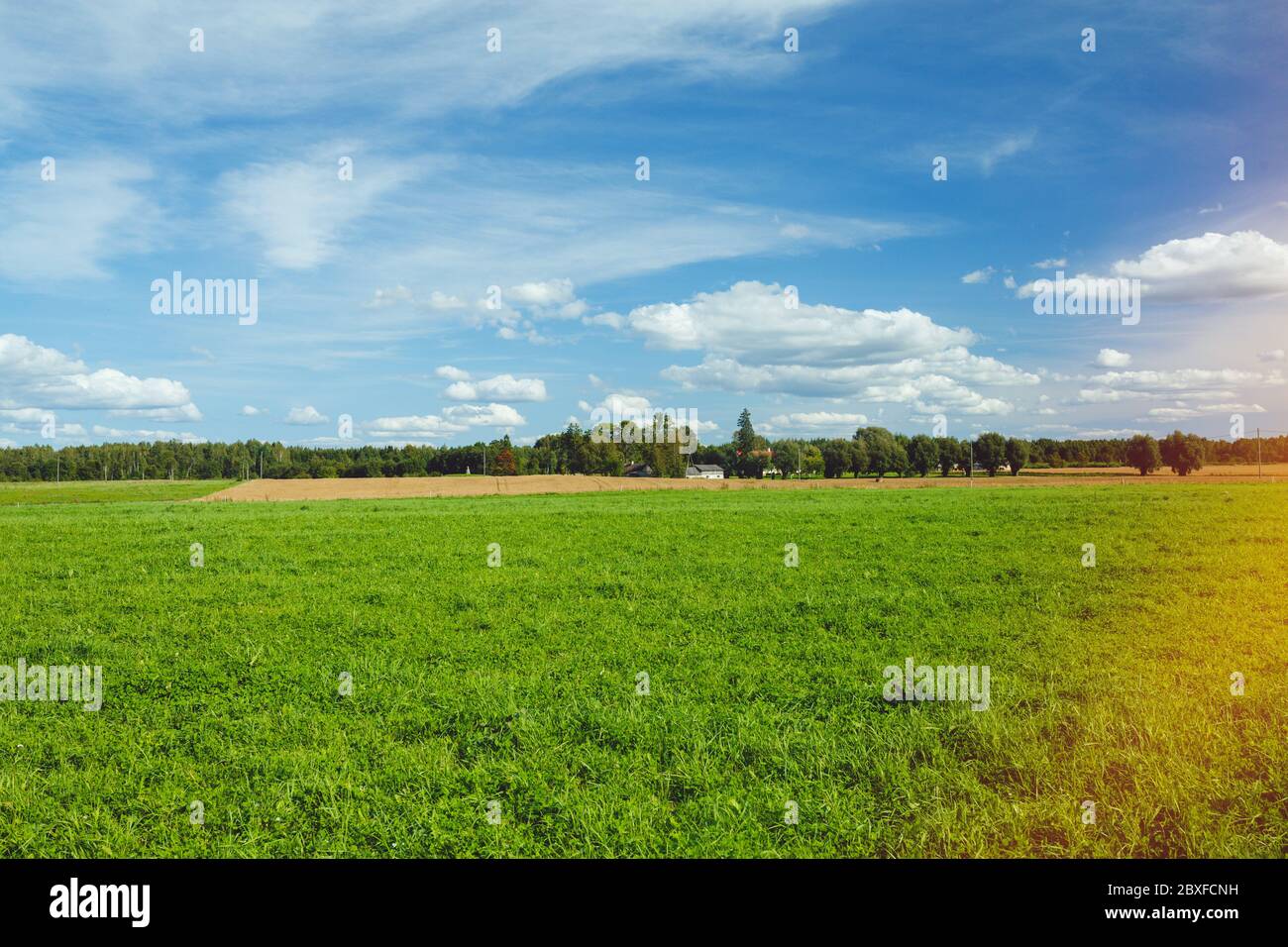Bright green field and blue sky, sunny summer day Stock Photo - Alamy