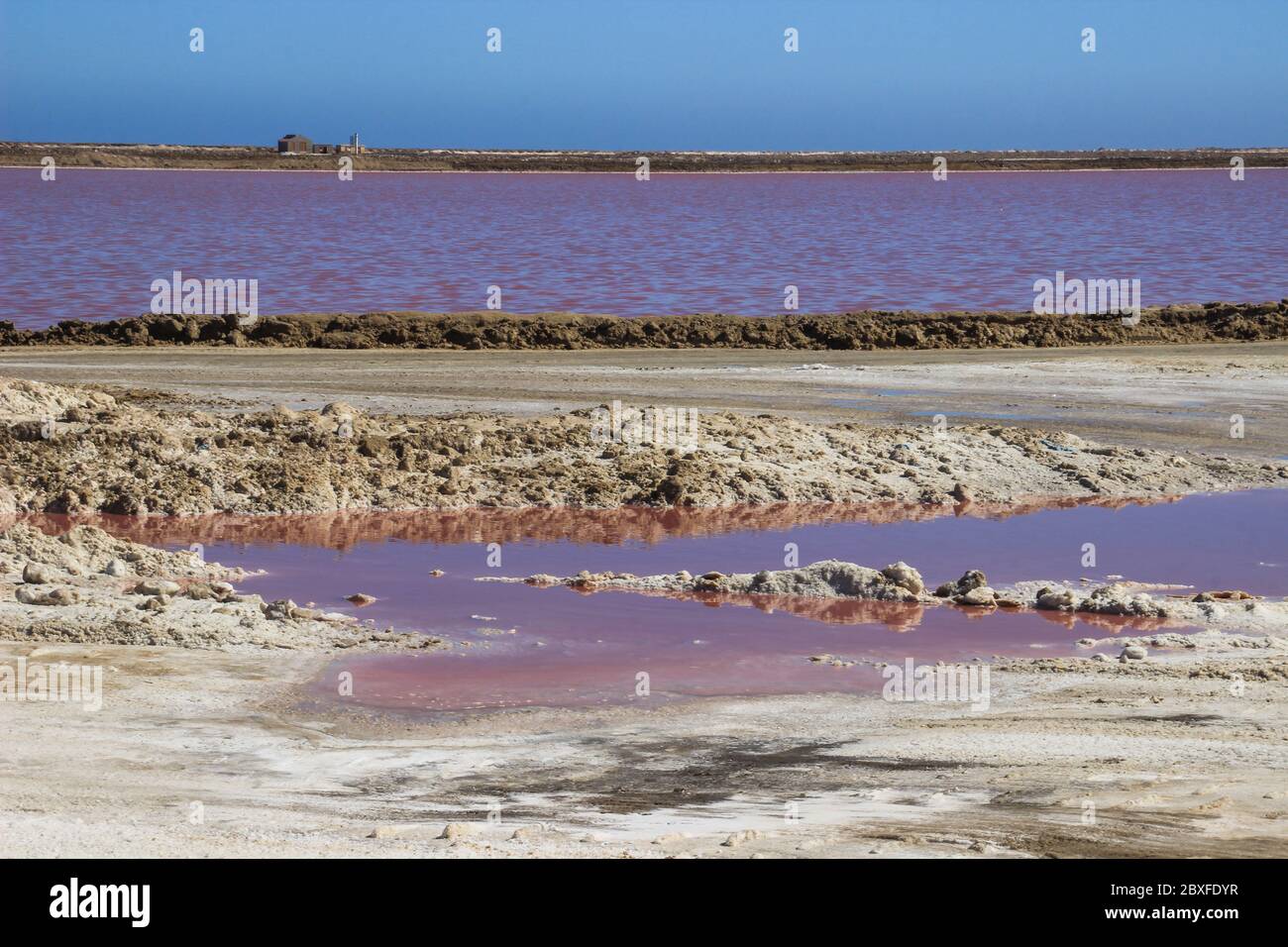 Unusual pink salt lake in Namibia with a salt factory back plan Stock ...