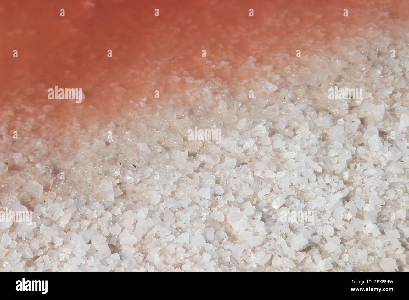 Unusual pink color salty water with large salt crystals close up Stock ...