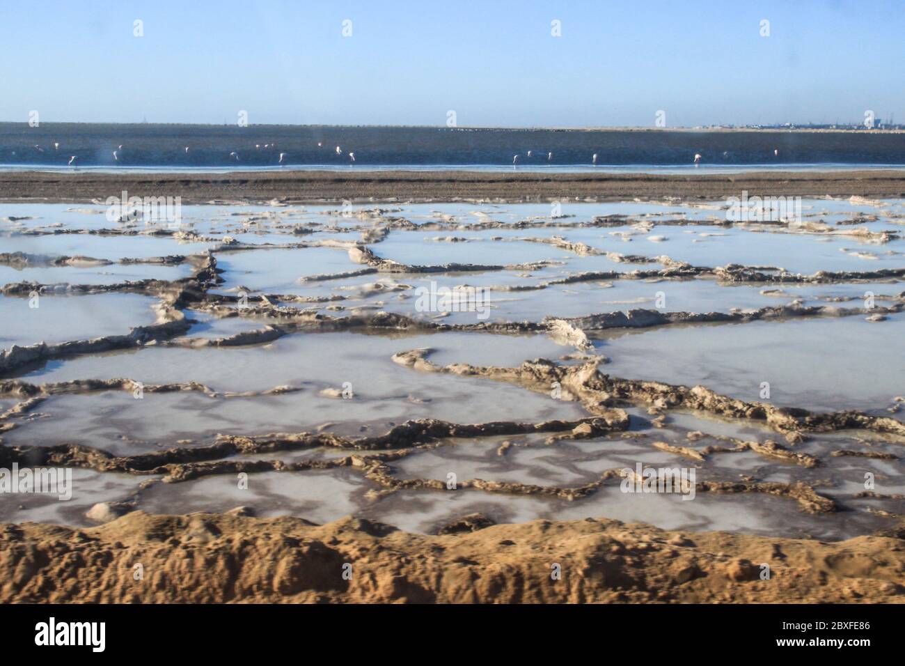 Salt production at a factory from the Atlantic Ocean on the coast near ...