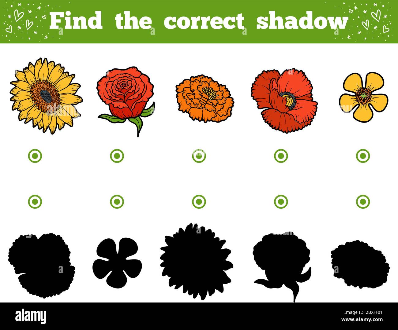 Find the correct shadow, education game for children. Set of flowers ...