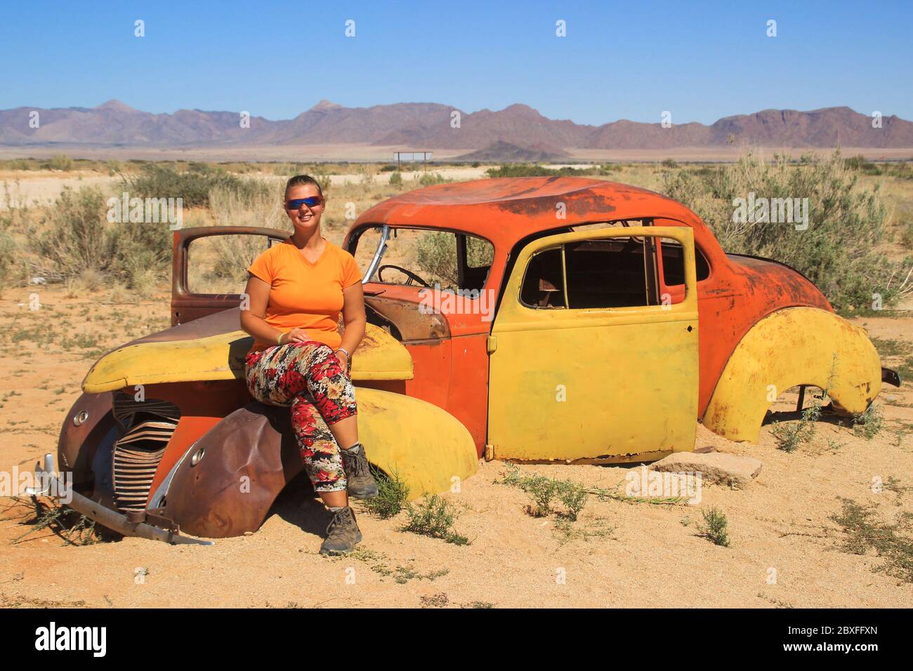 Abandoned old rusty cars in the desert of Namibia and a plump white ...