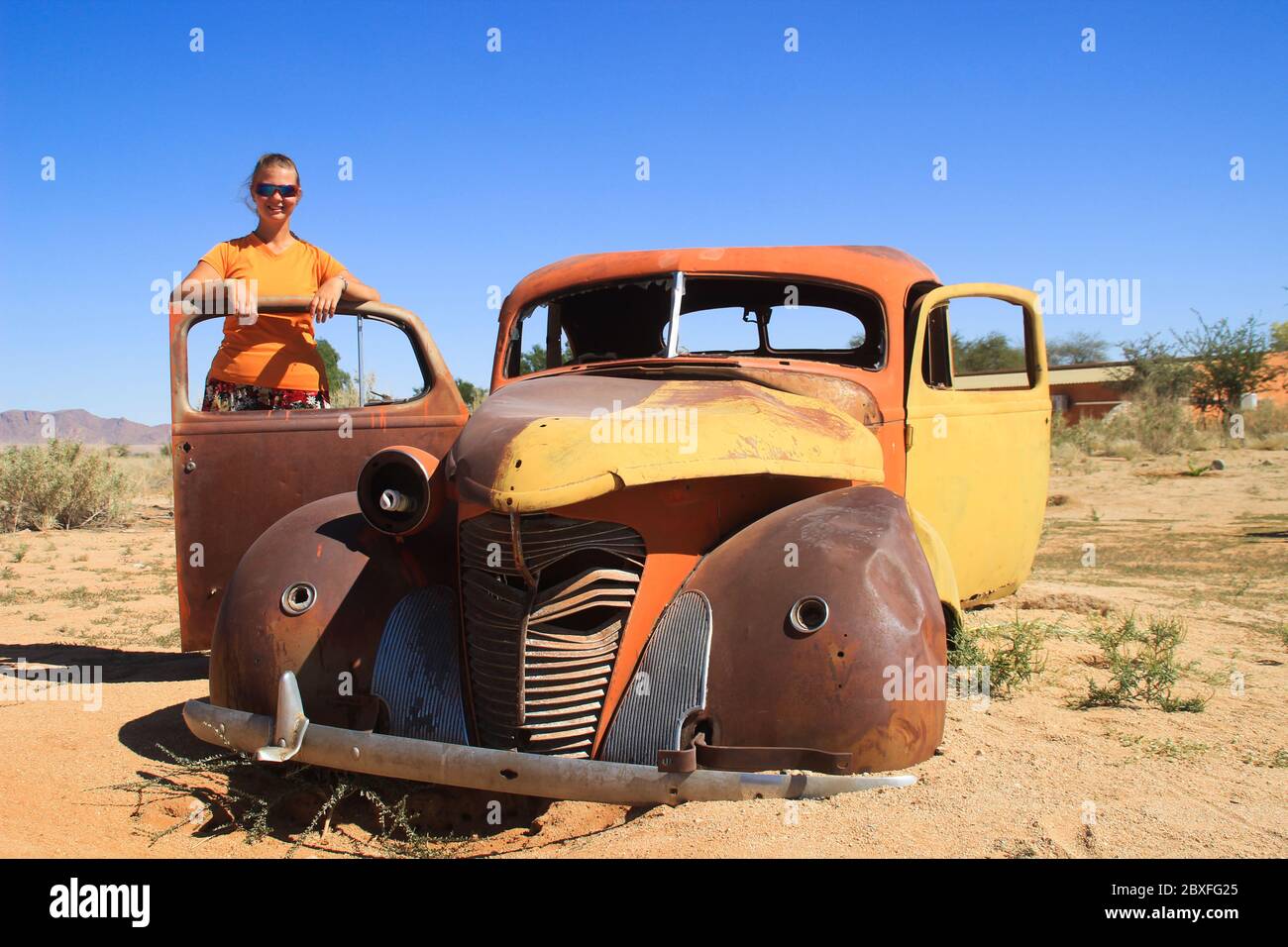 Abandoned old rusty cars in the desert of Namibia and a plump white ...