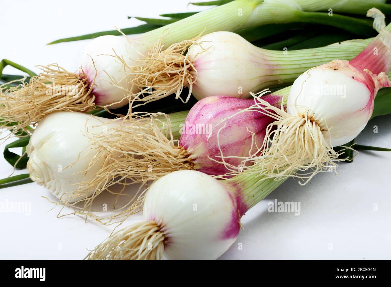 Vegetables: Spring Onion Isolated on White Background Stock Photo - Alamy