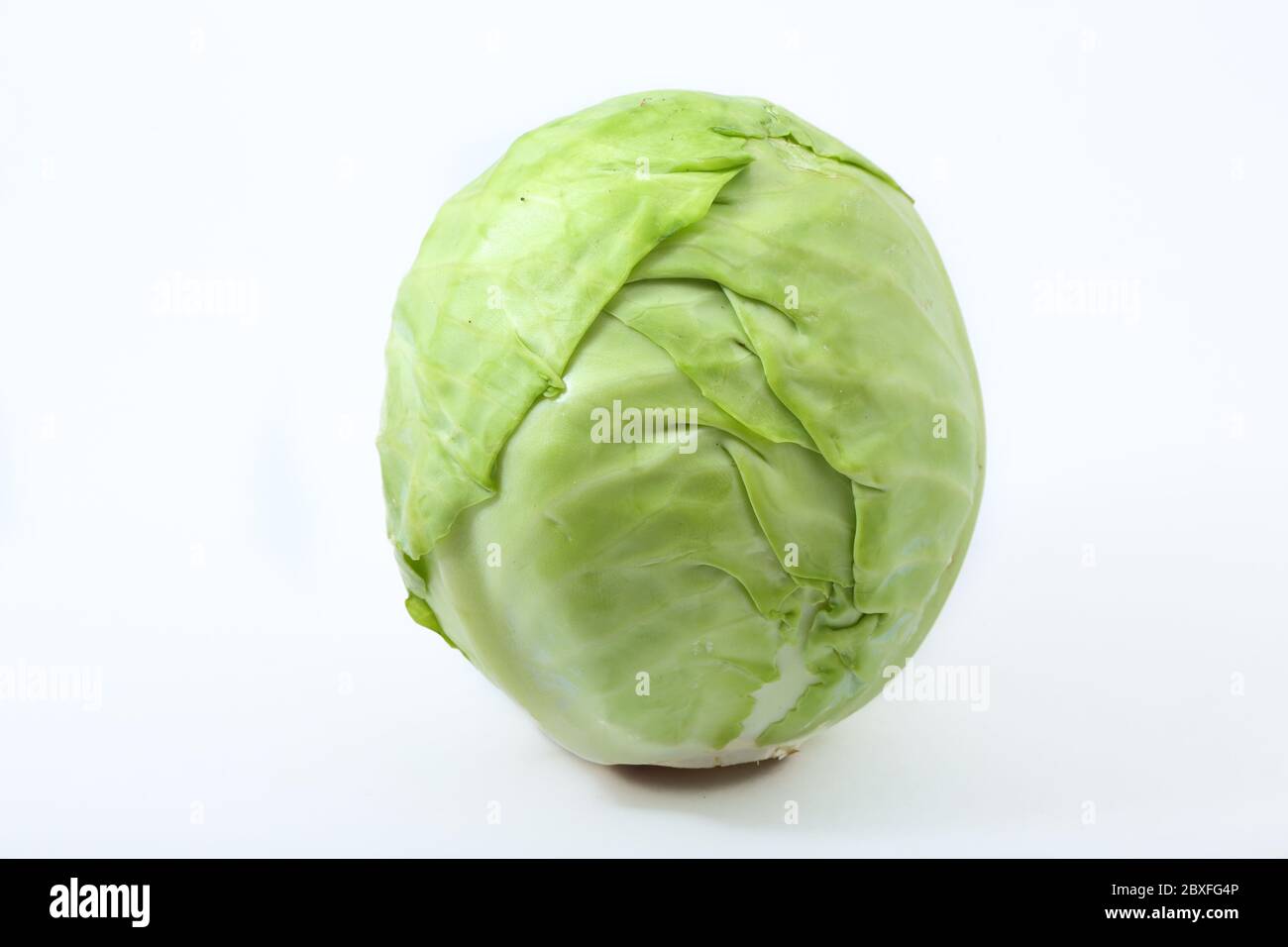 One Cabbage isolated on white background Stock Photo - Alamy